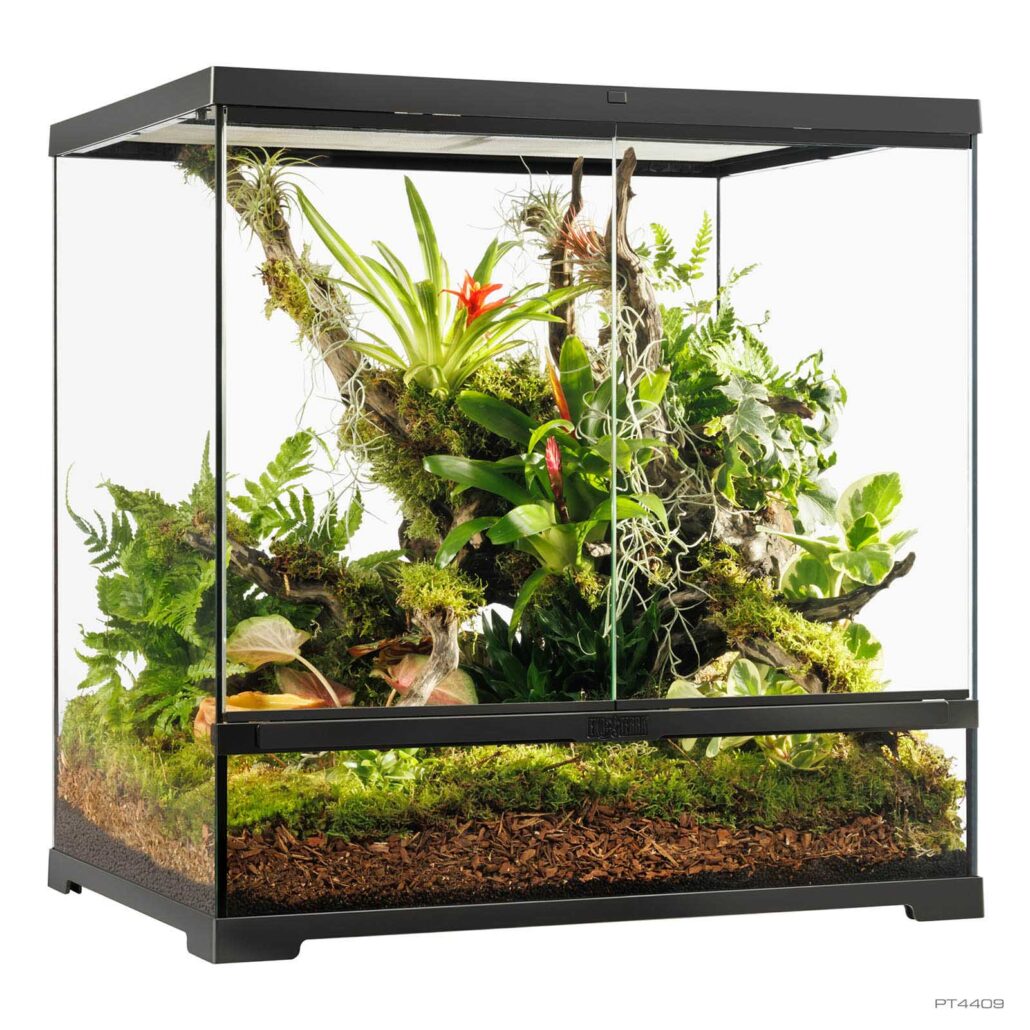 Pro Terrarium Medium Tall 60x45x60cm PT4409 - Rodent Kingdom Malta