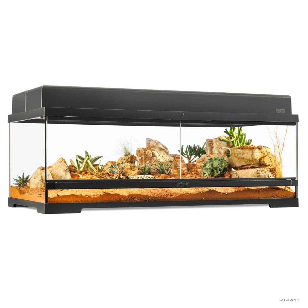 Pro Terrarium Large Low 90x45x30cm PT4411 - Rodent Kingdom Malta